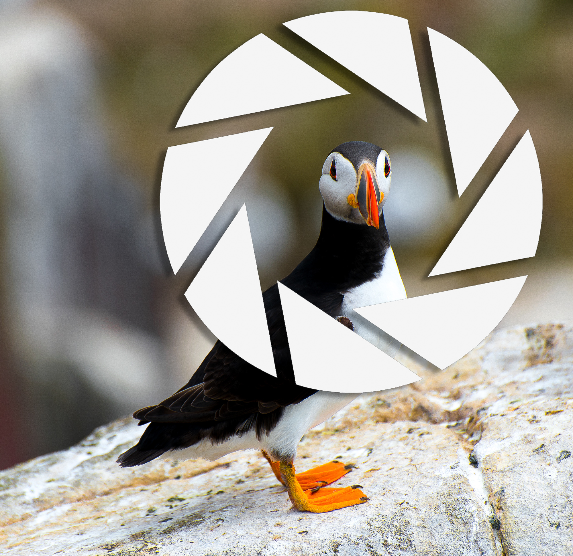 Aperture Priority - It’s A Game Changer - Behind The Lens